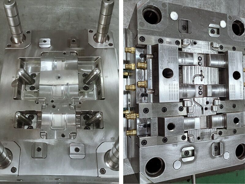 Mold Display Archives - Tip Top